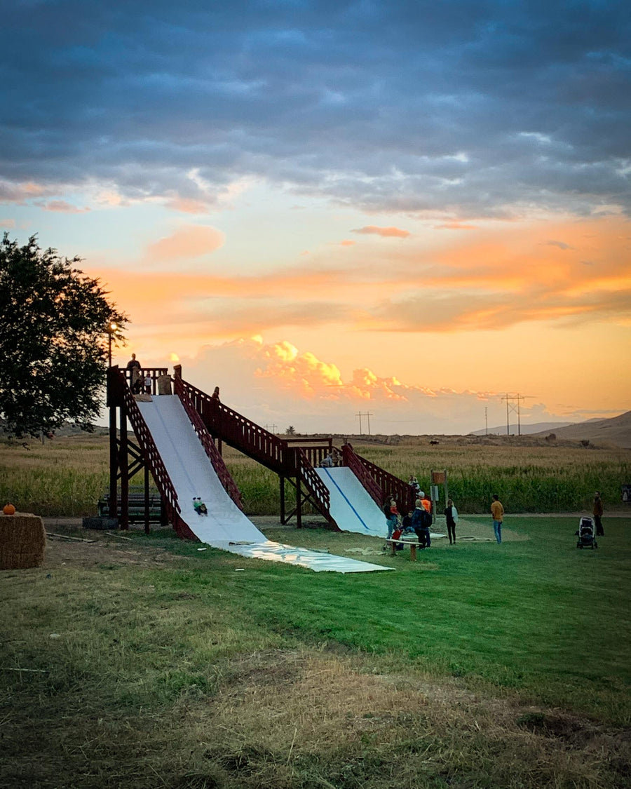 Fall Festival Attractions – Rowley's Red Barn