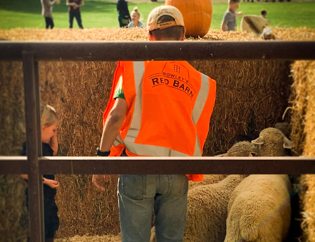 About us – Rowley's Red Barn